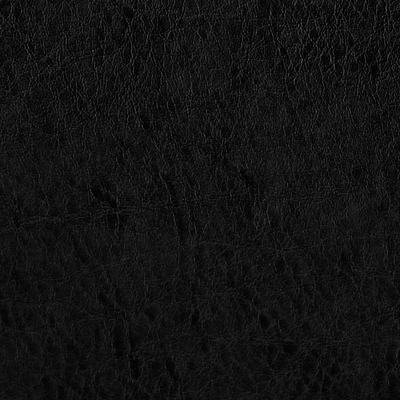Black Leather Swatch